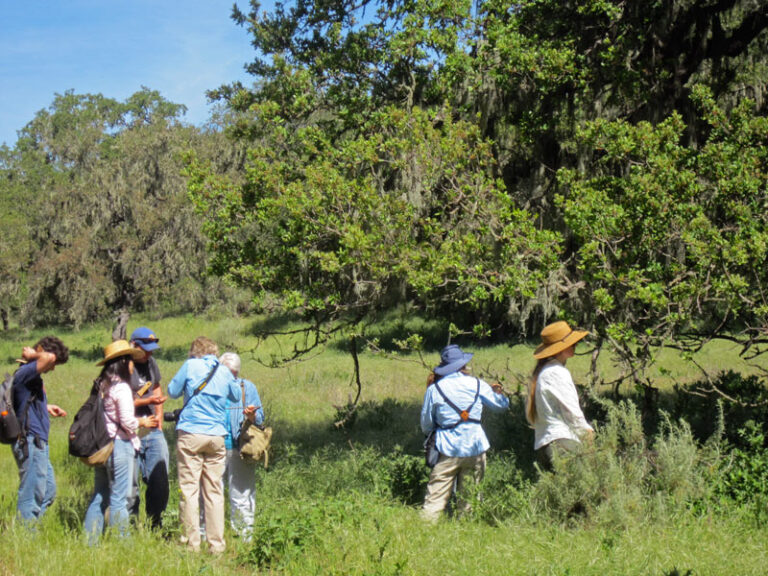 Visiting – Sedgwick Reserve